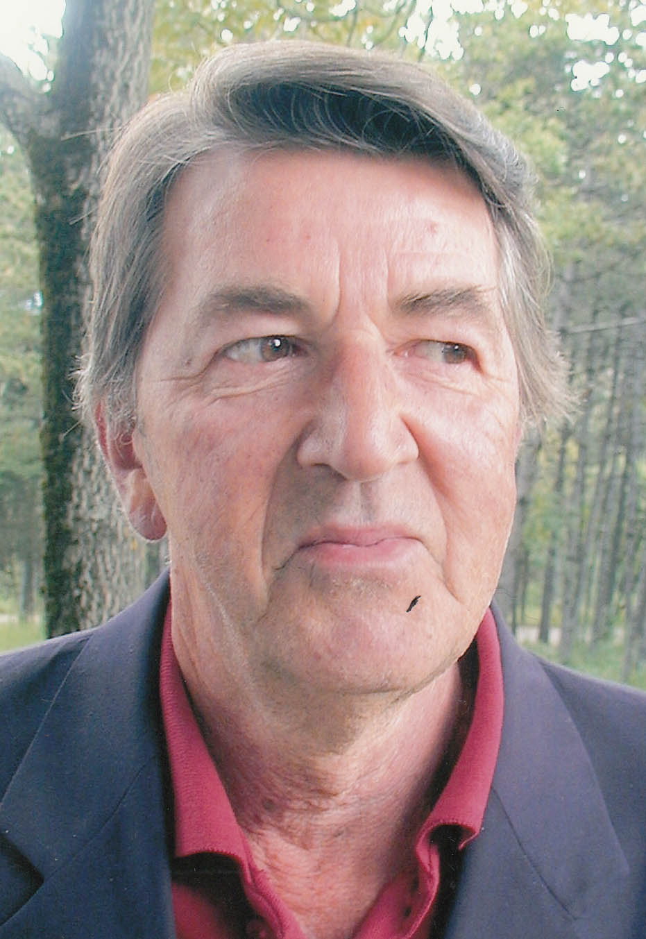 PREDRAG-BATO Radojev PERUNOVIĆ - Umrli.me