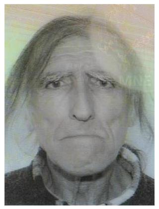 DRAGOLjUB-MIŠKO Nikolin TODOROVIĆ - Umrli.me